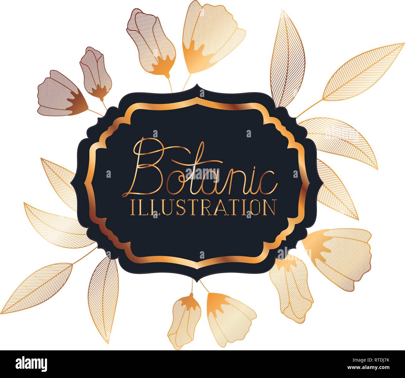 botanic illustration label with plants vector illustration desing Stock ...