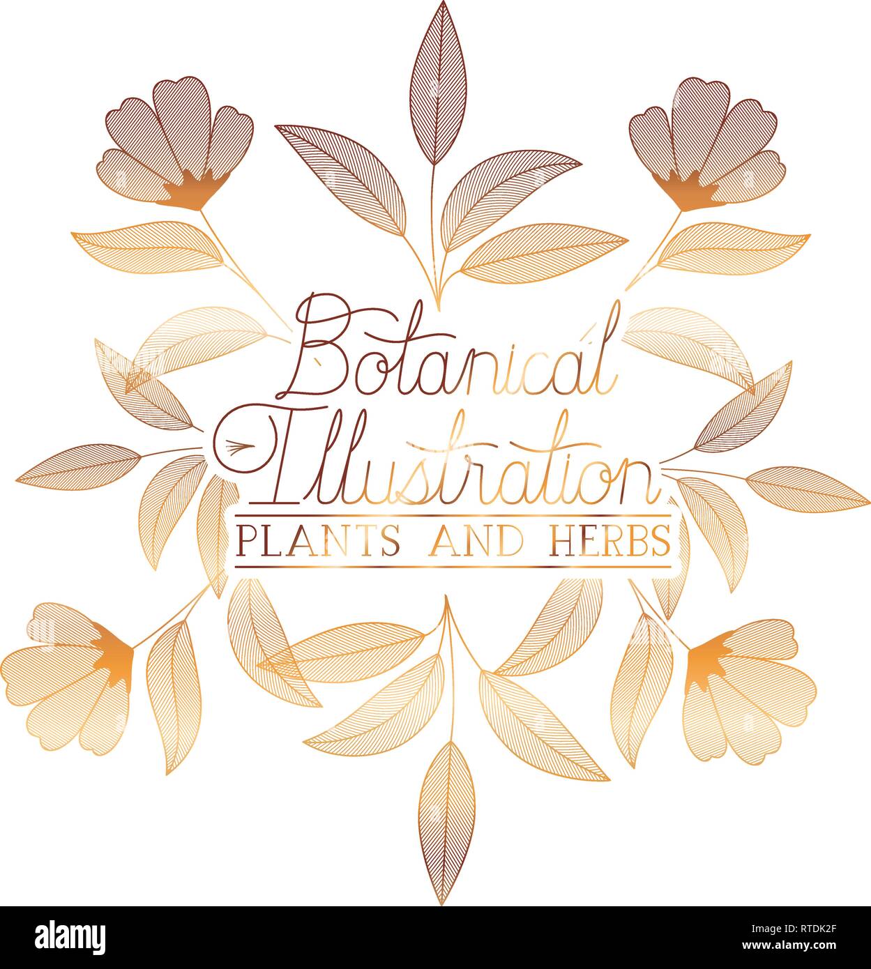 botanical illustration label with plants and herbs vector illustration ...