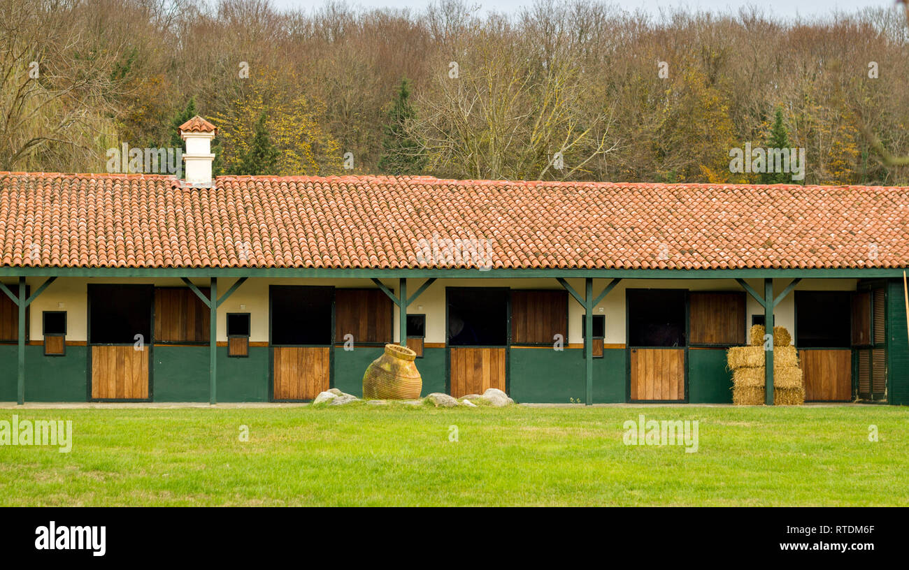 Empty horse hi-res stock photography and images - Alamy