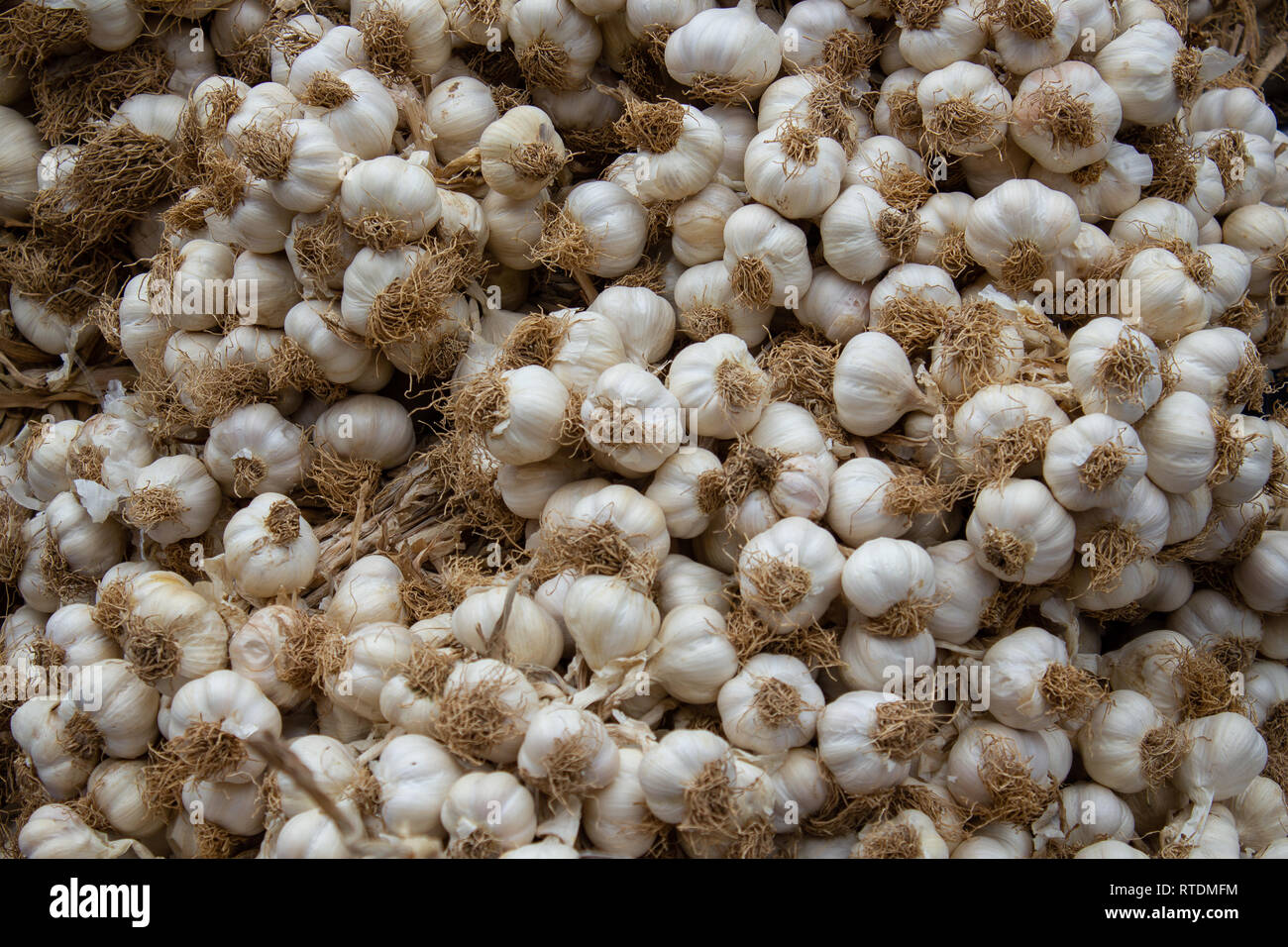 Dried garlic bundles Stock Photo - Alamy