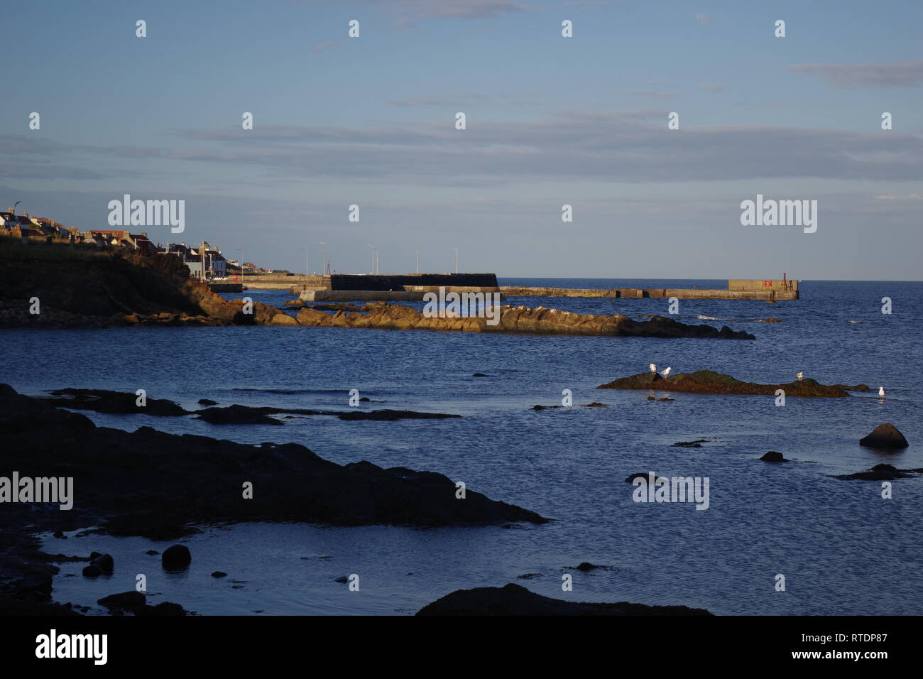 St Monans Fishing Harbour and Village in the Golden Light of a Summer's ...