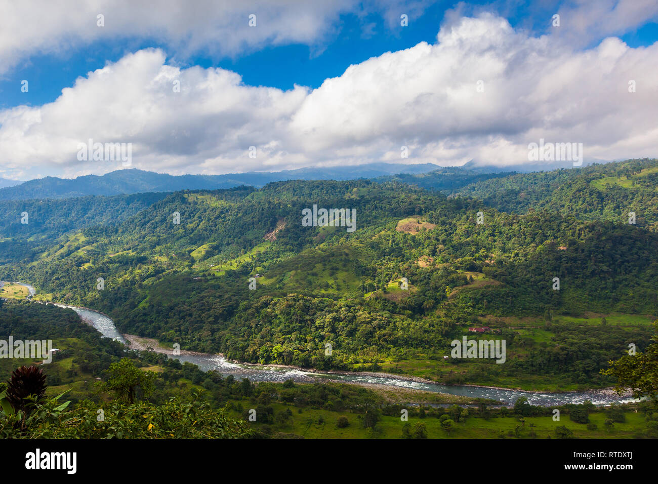 Landscapes of the Andean Choco region in northwestern Ecuador Stock ...