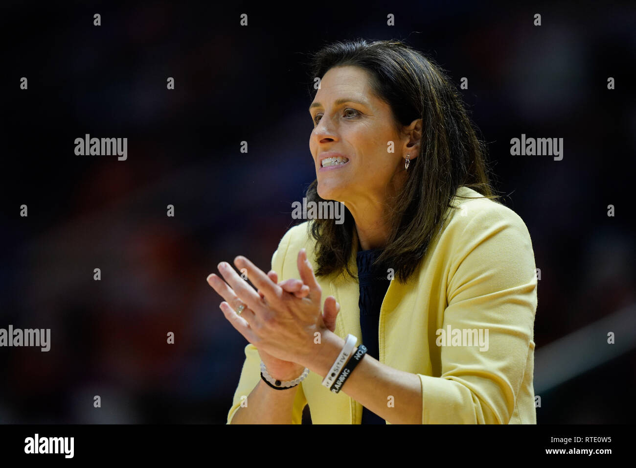 Stephanie thompson hi-res stock photography and images - Alamy