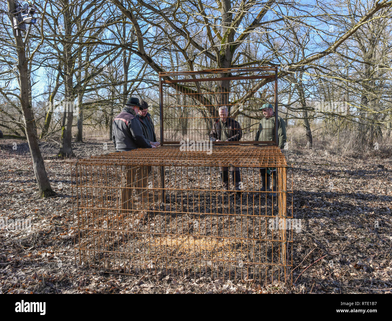 Dirk treichel hi-res stock photography and images - Alamy
