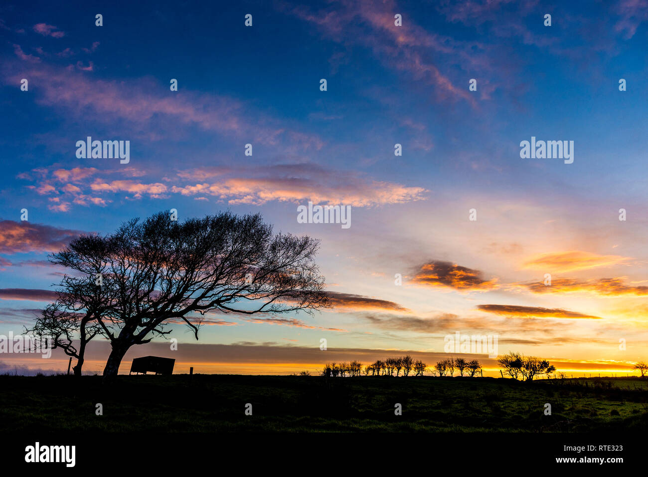 Ardara, County Donegal, Ireland. 1st Mar, 2019. A glorious sunrise ...