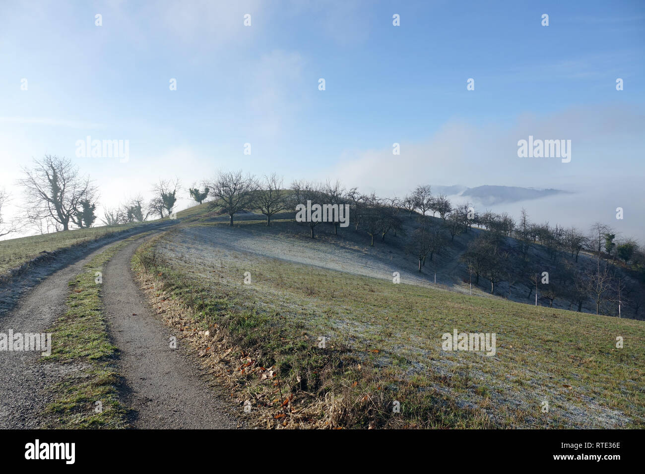 Lautenbach High Resolution Stock Photography and Images - Alamy