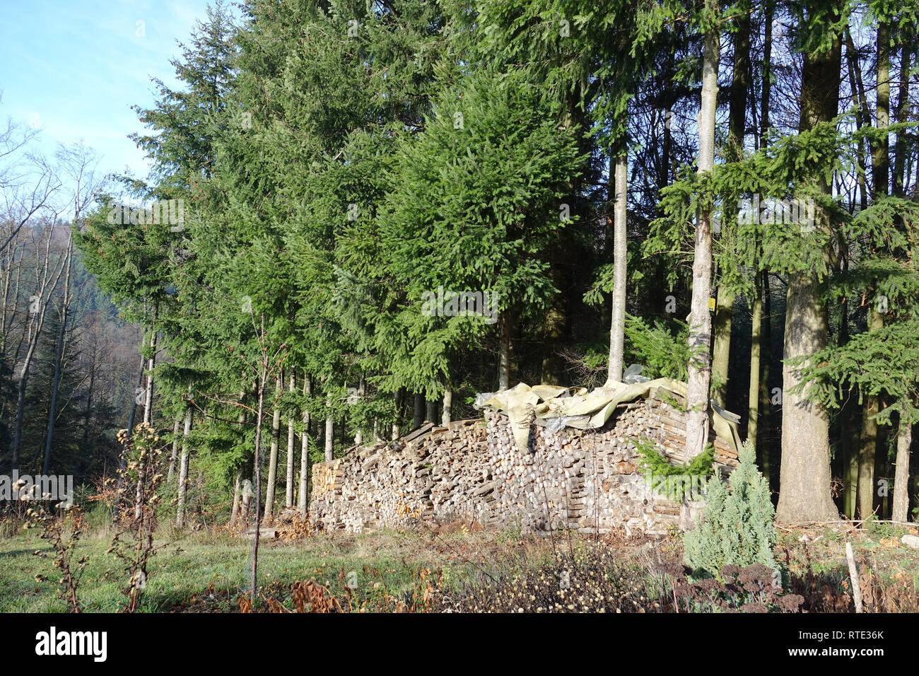 Alexandra holz hi-res stock photography and images - Alamy