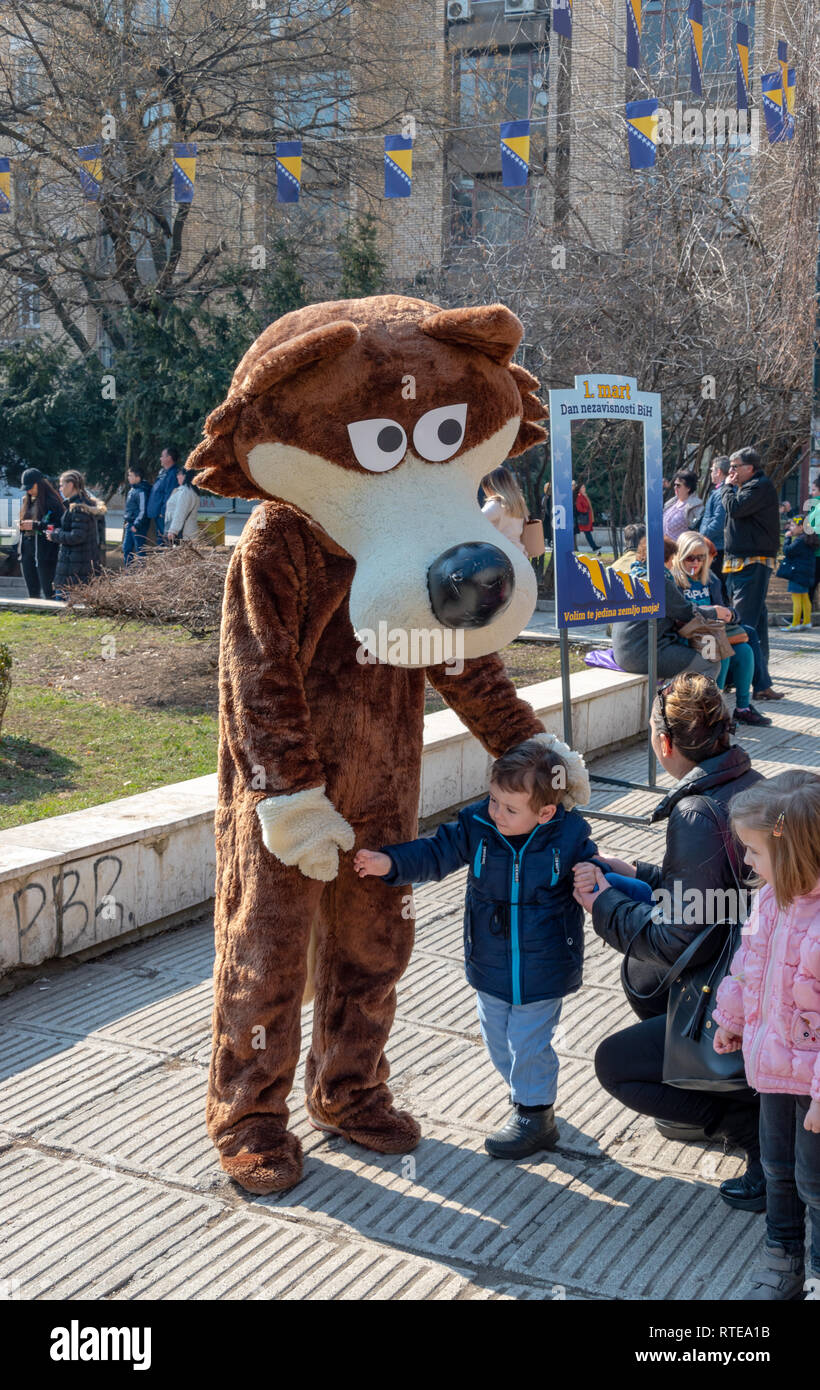 Vucko the wolf hi-res stock photography and images - Alamy