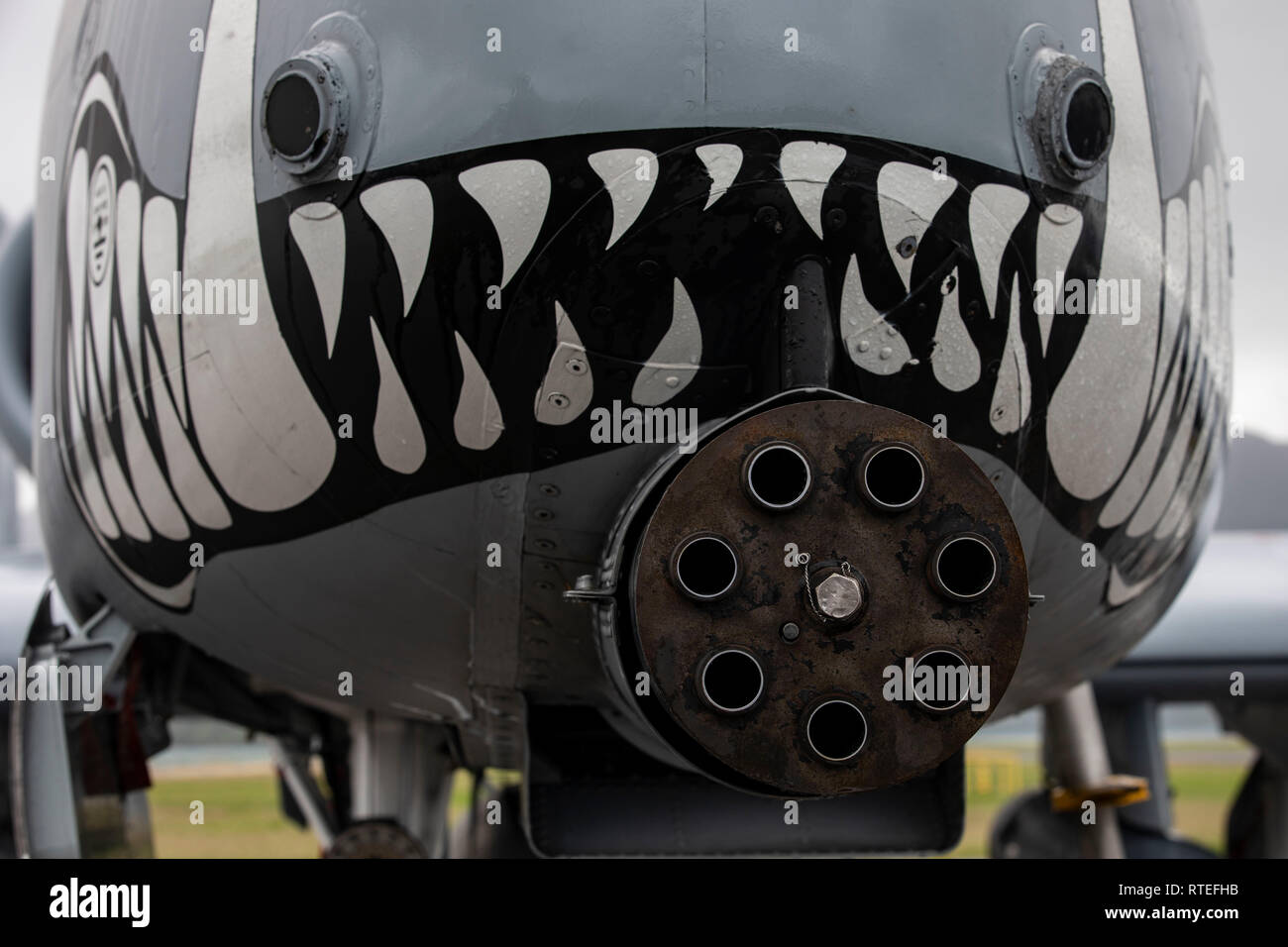 A U.S. Air Force A-10 Thunderbolt II attack aircraft assigned to the ...