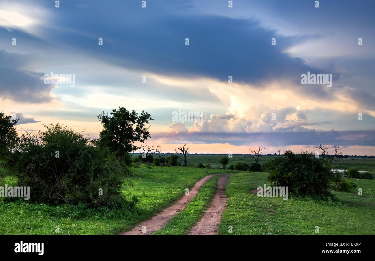 Chobe national park in botswana hi-res stock photography and images - Alamy