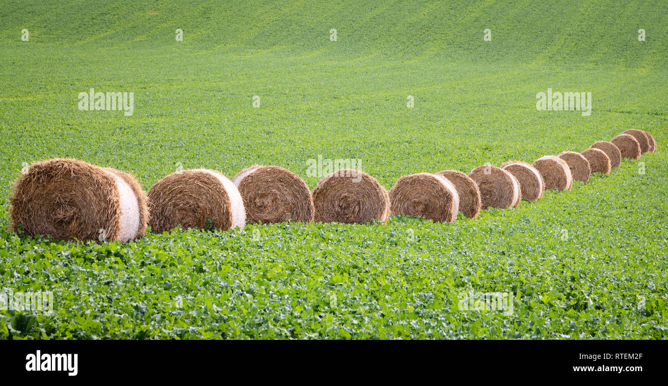 Rollingfield hi-res stock photography and images - Alamy