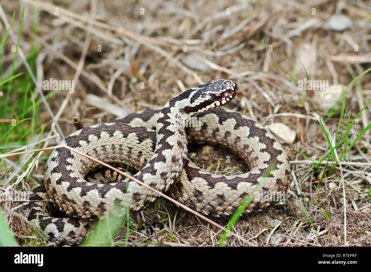 Full adder hi-res stock photography and images - Alamy