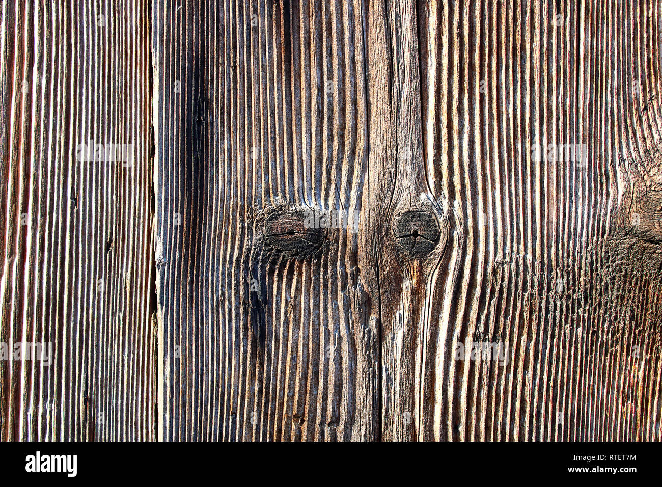 texture of spruce plank ready for your design ( Picea abies Stock Photo ...