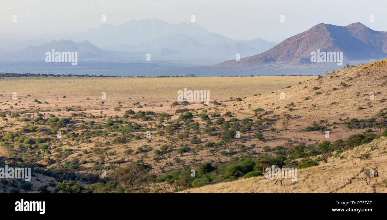 Kenyan plains hi-res stock photography and images - Alamy