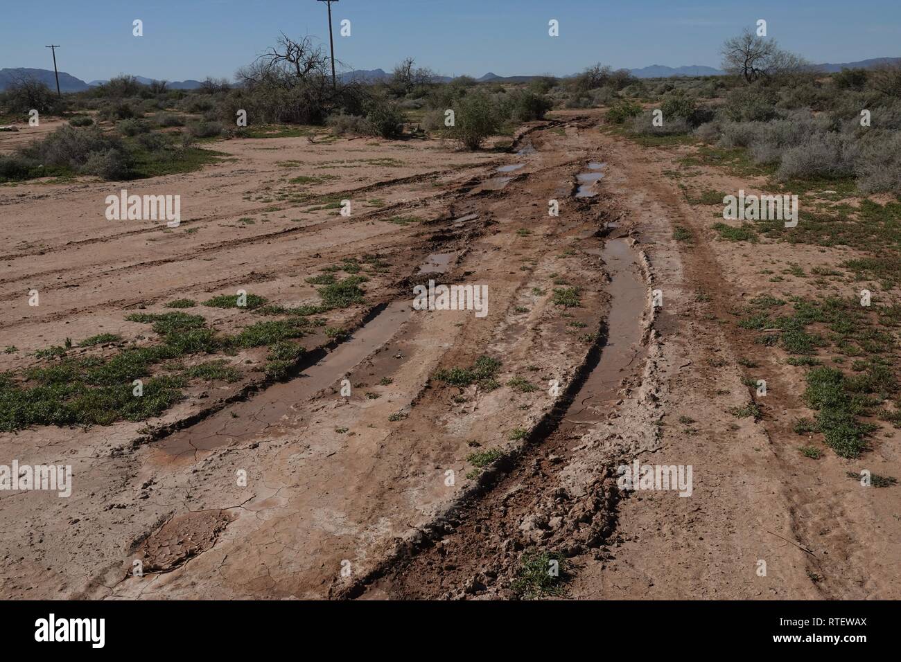 Tire tracks in the dirt in the Arizona desert Stock Photo - Alamy