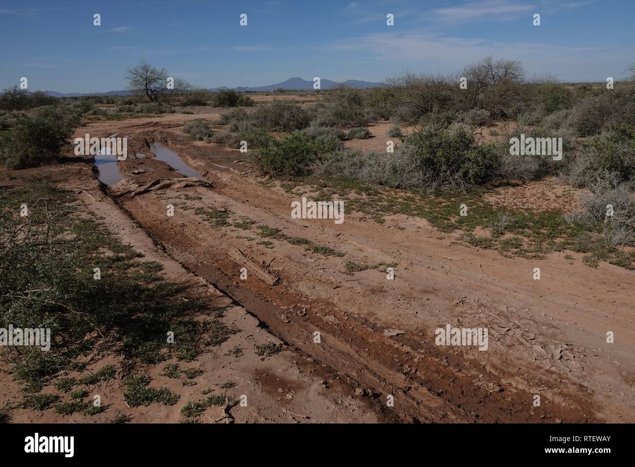 Tire tracks in the dirt in the Arizona desert Stock Photo - Alamy