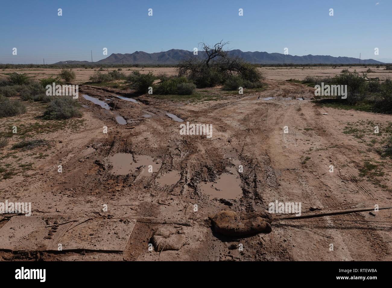 Tire tracks in the dirt in the Arizona desert Stock Photo - Alamy