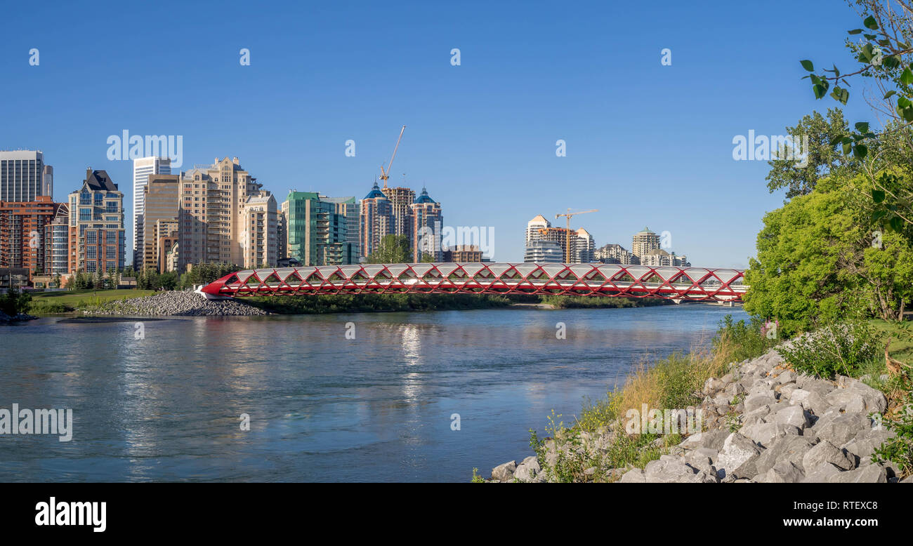 The Peace Bridge spanning the Bow River in Calgary, Alberta. The ...