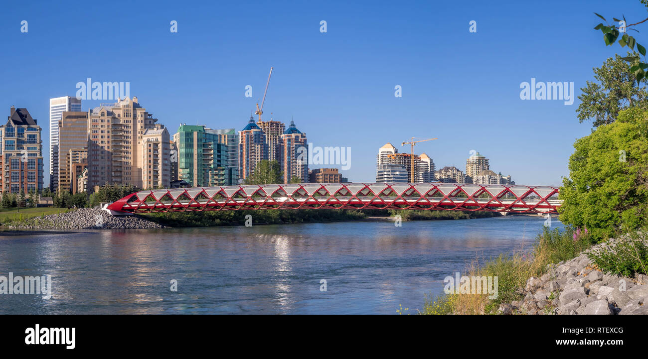 The Peace Bridge spanning the Bow River in Calgary, Alberta. The ...