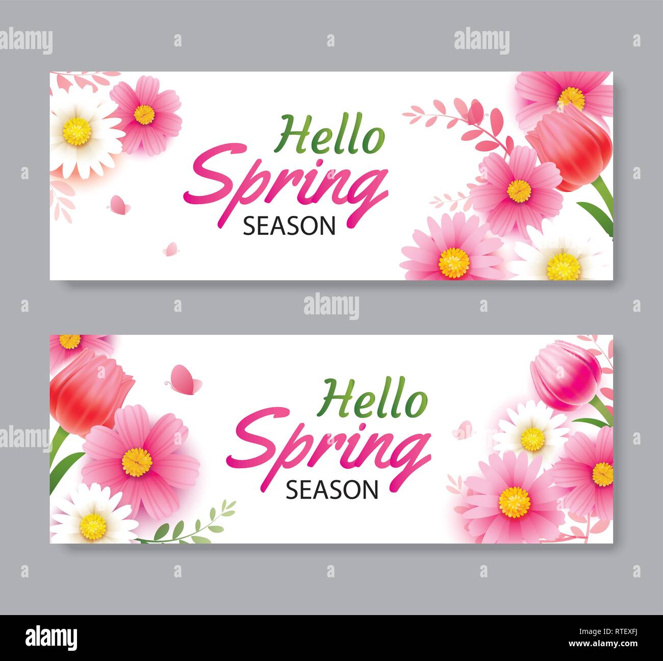 Elegant greeting cover Stock Vector Images - Alamy