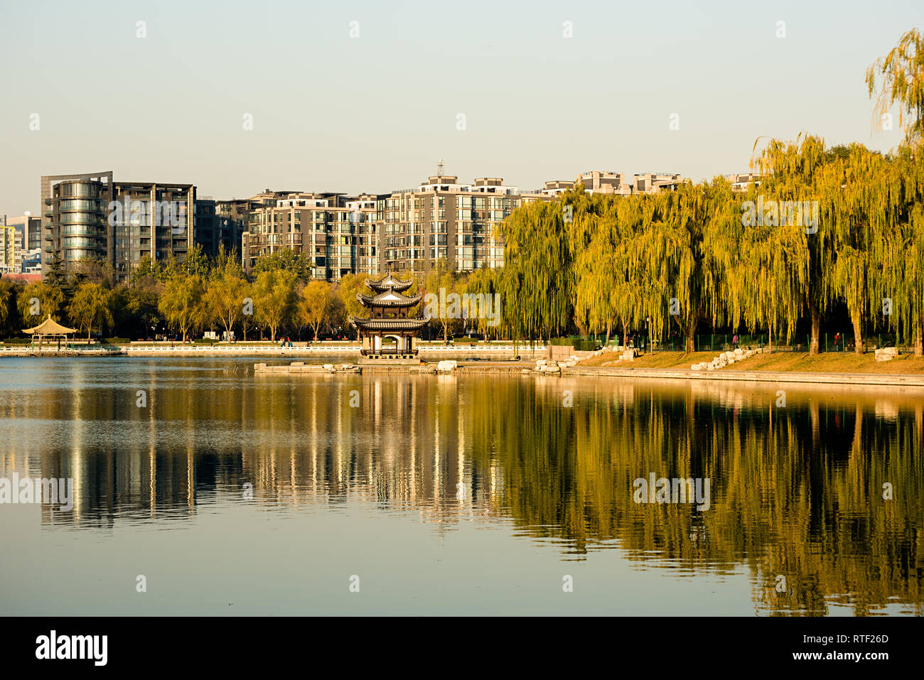 The Chinese park in autumn Stock Photo - Alamy