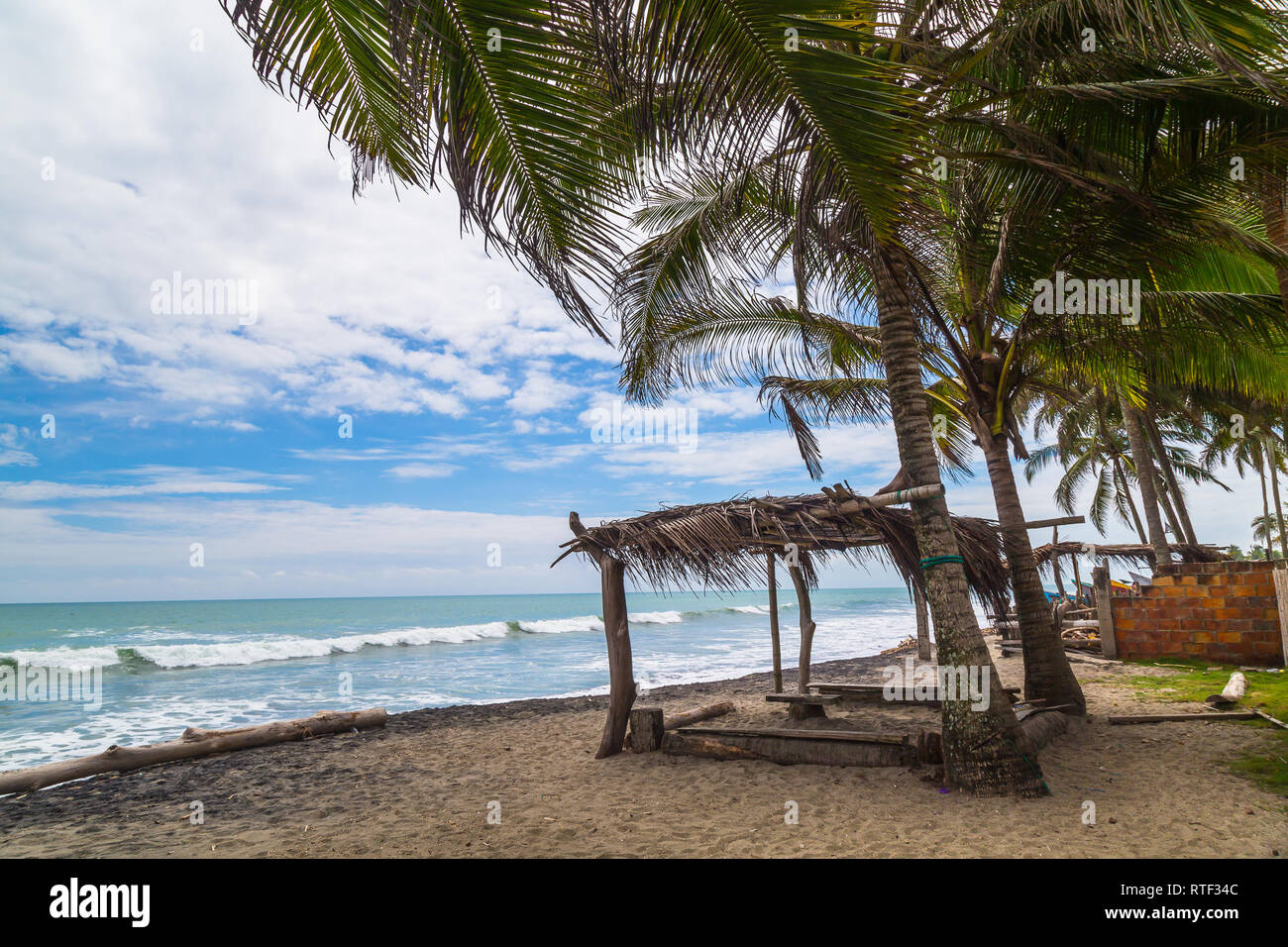 Log cabin on the beach under the palm trees on the shore of the sea ...