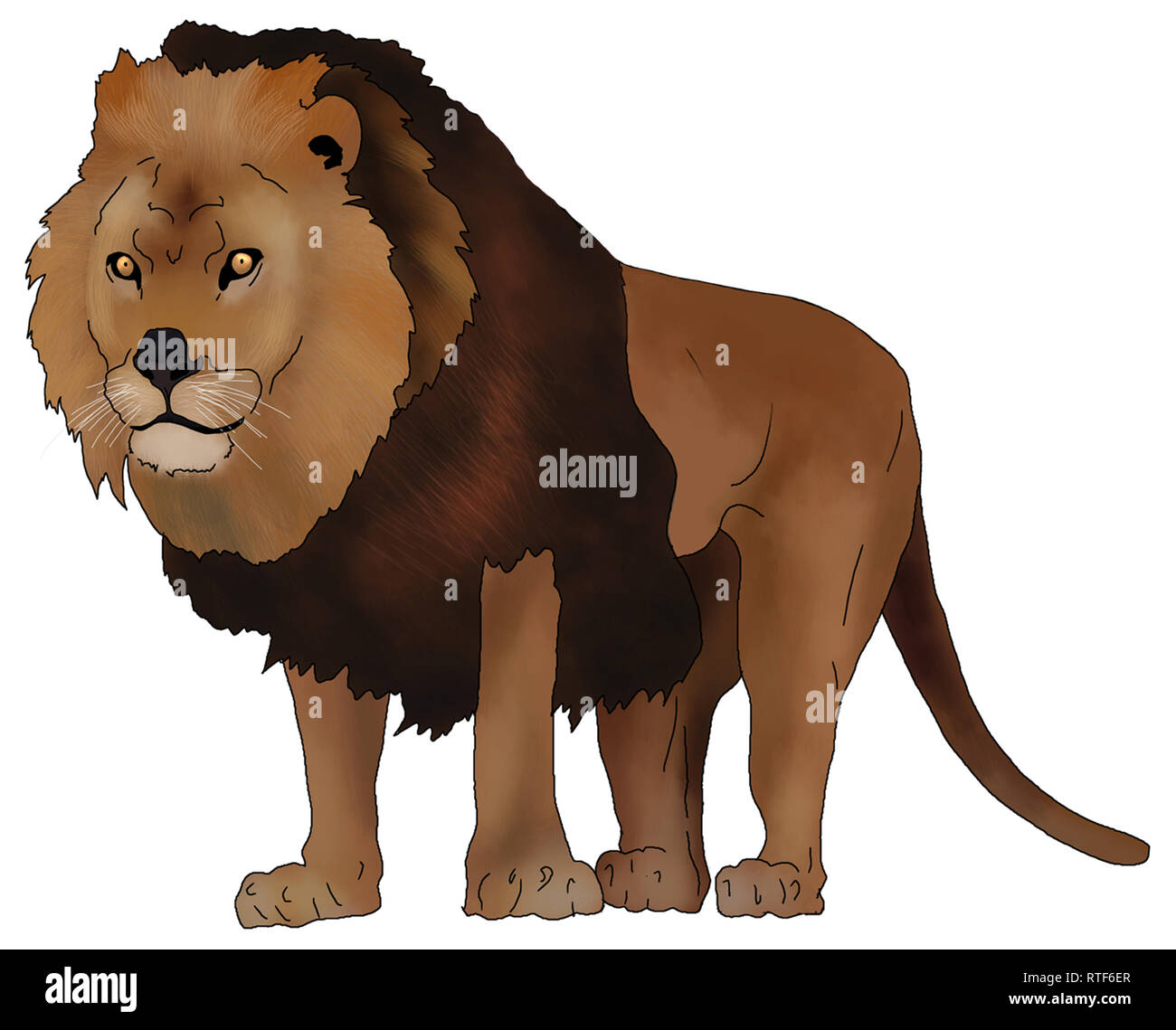 Wild animal portrait from nature Stock Photo - Alamy