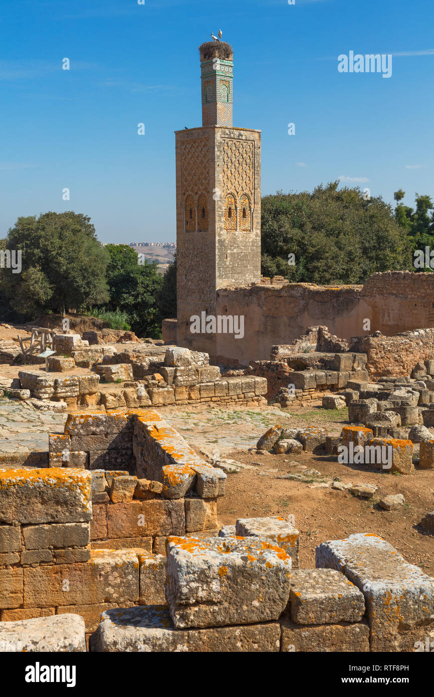 Chellah, near Rabat, Roman ruins and Marinid Necropolis, Morocco Stock ...