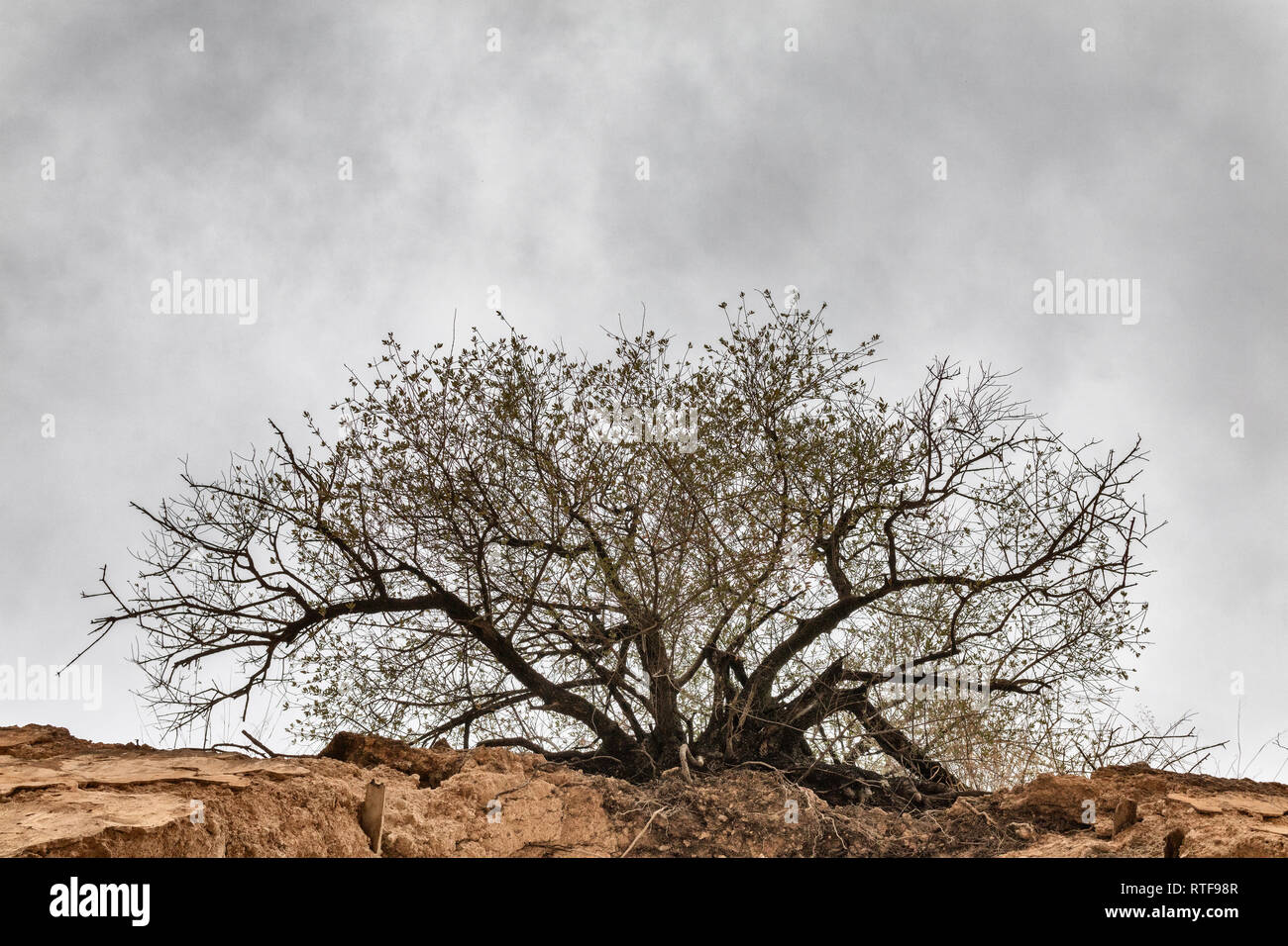18th century morocco hi-res stock photography and images - Alamy