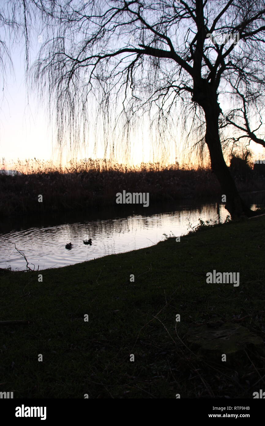 River nene march hi-res stock photography and images - Alamy