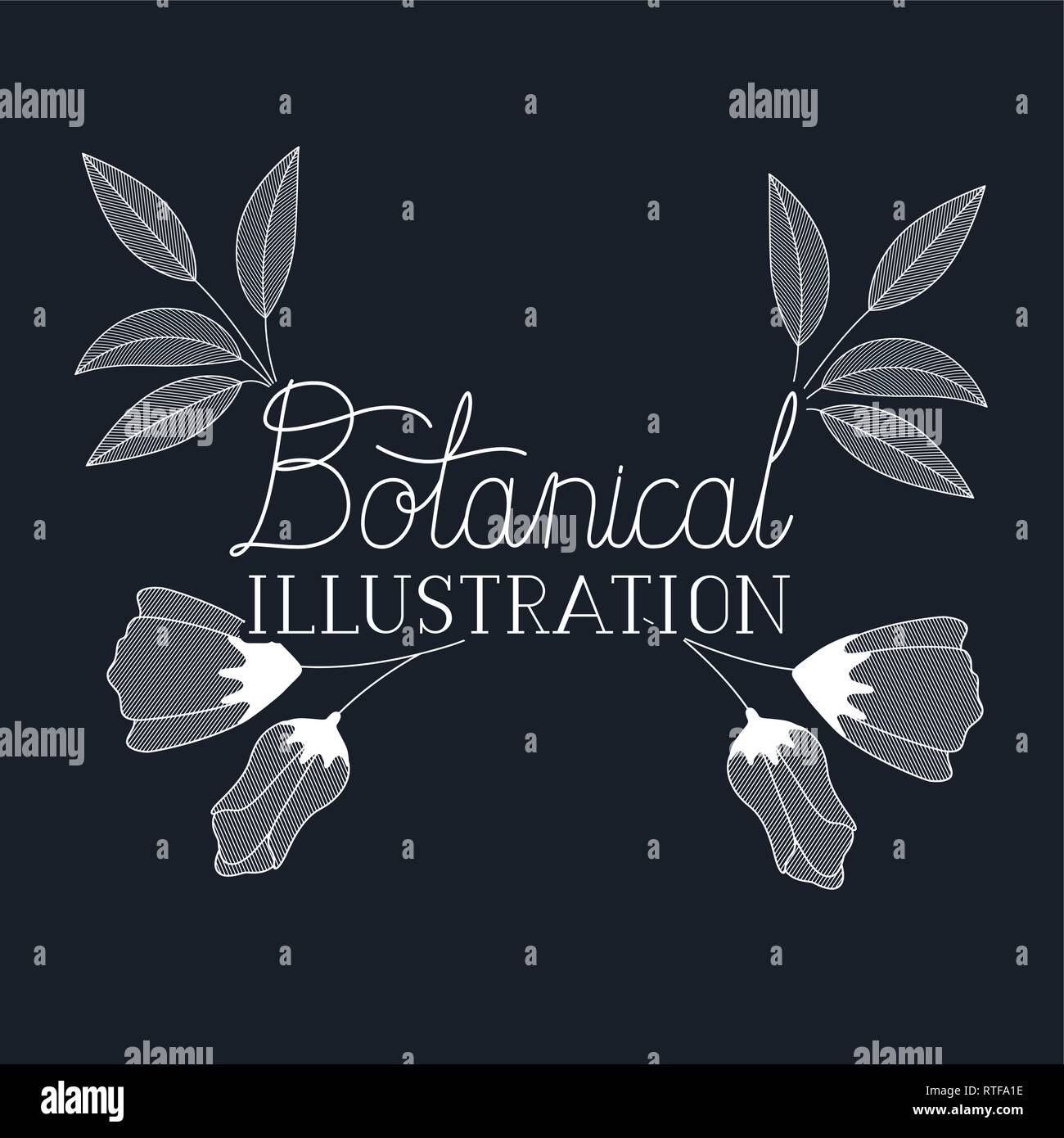 botanical illustration label with plants vector illustration desing ...