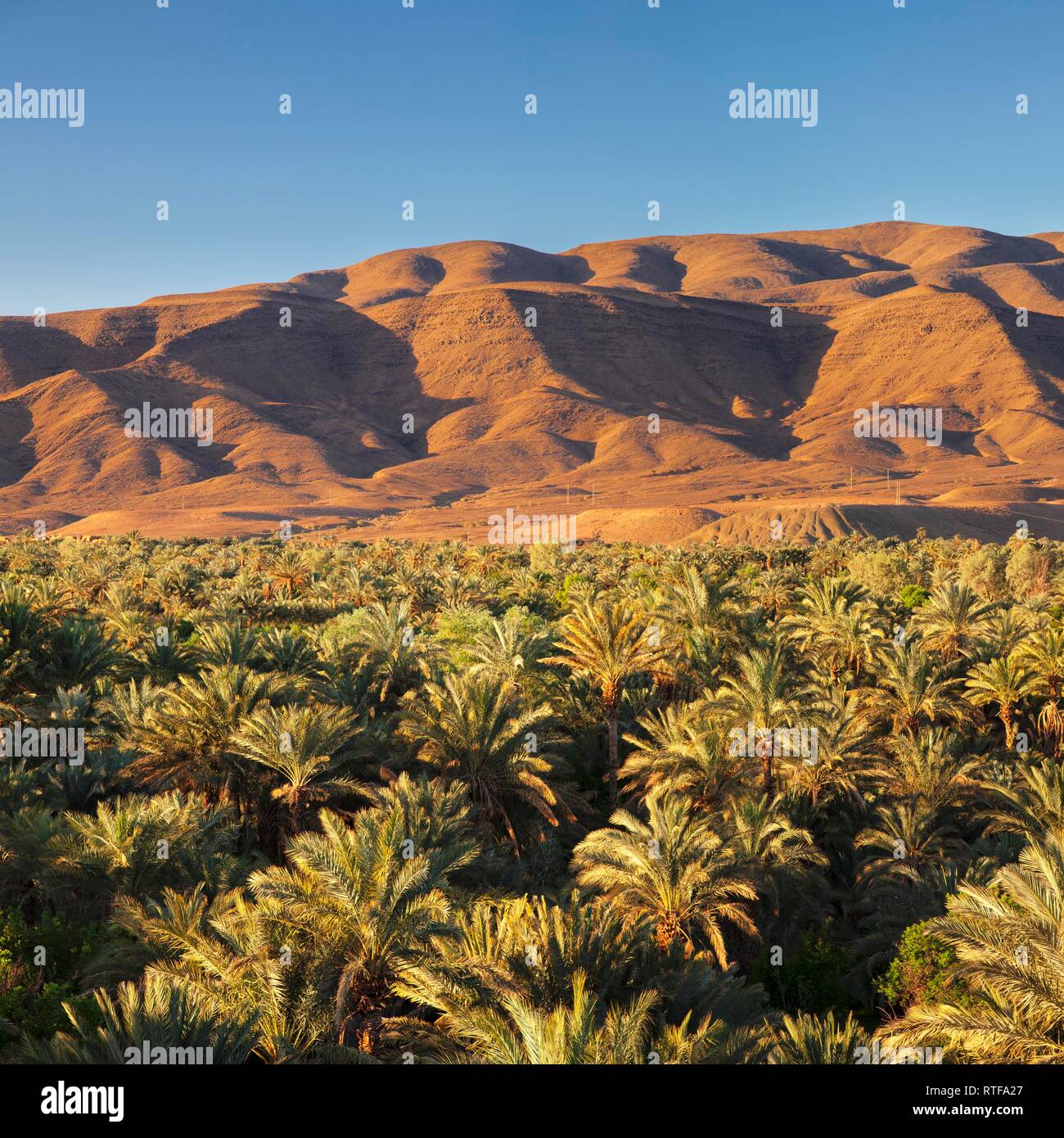 Draa Valley, Atlas Mountains, South Morocco, Morocco Stock Photo - Alamy