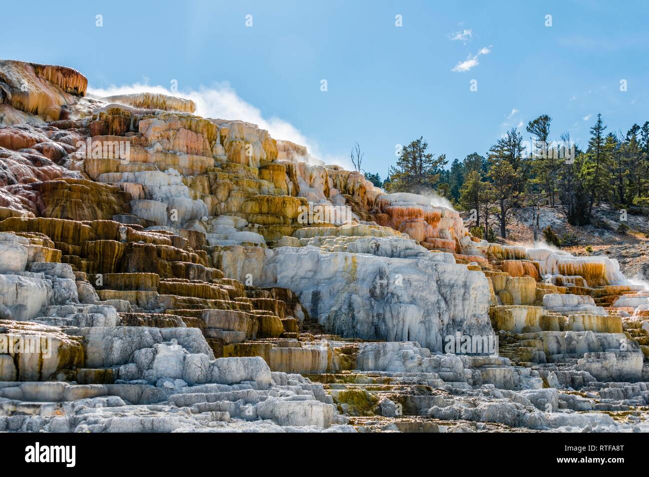 Sinter terraces, hot springs, mineral deposits, Palette Springs, Lower ...