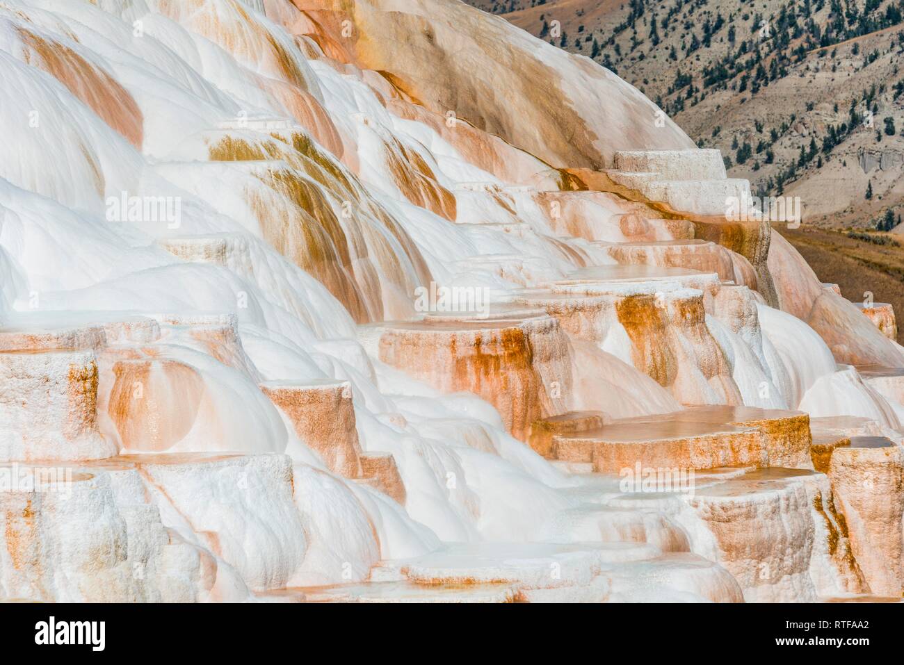 Sinter terraces with calcareous tuff deposits, hot springs, colorful ...