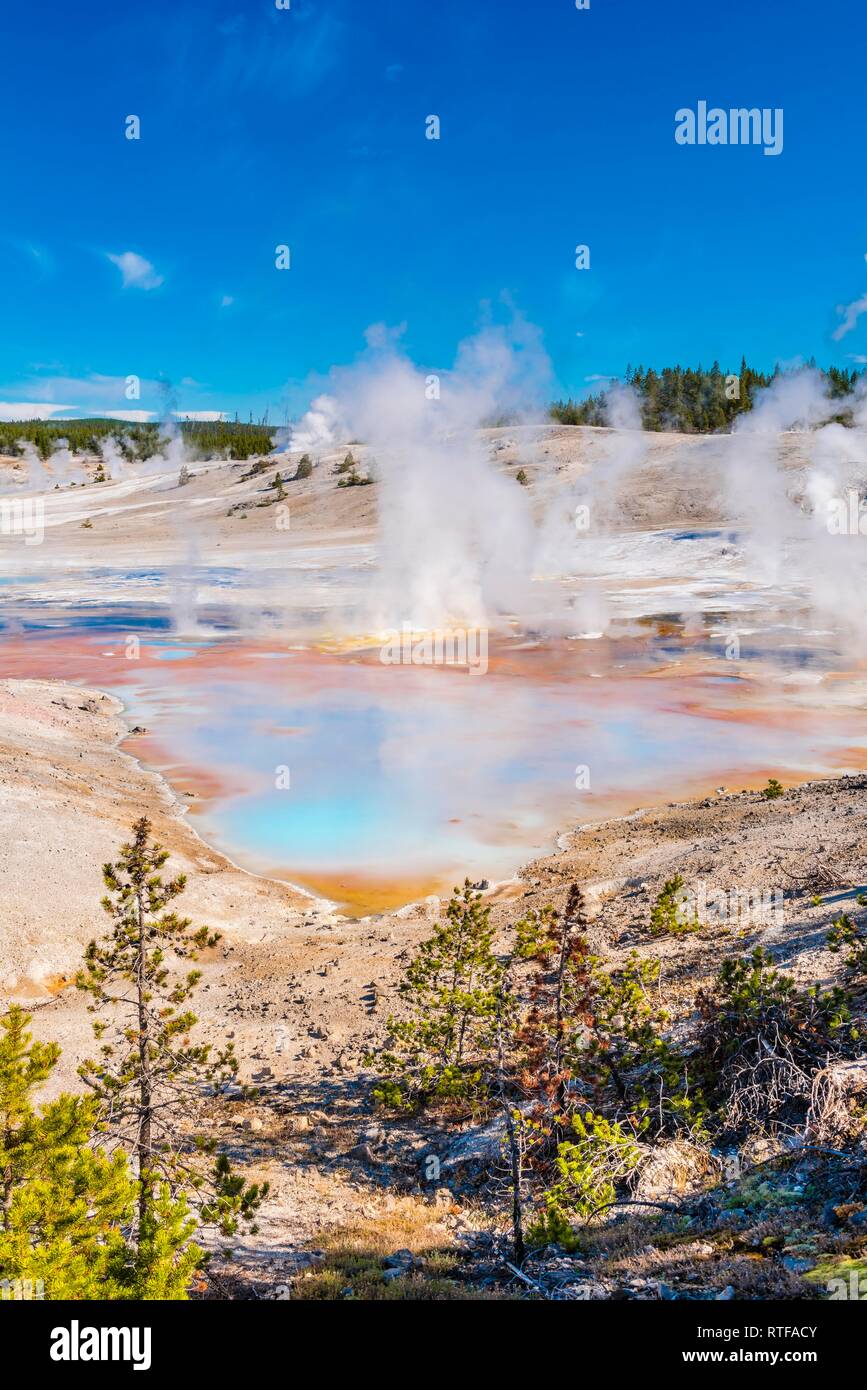 Geyser hot springs hi-res stock photography and images - Alamy