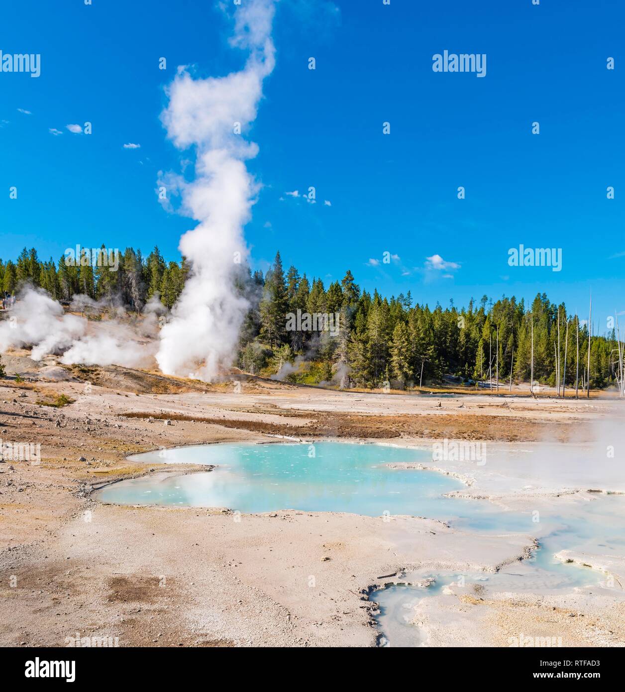 Geyser hot springs hi-res stock photography and images - Alamy