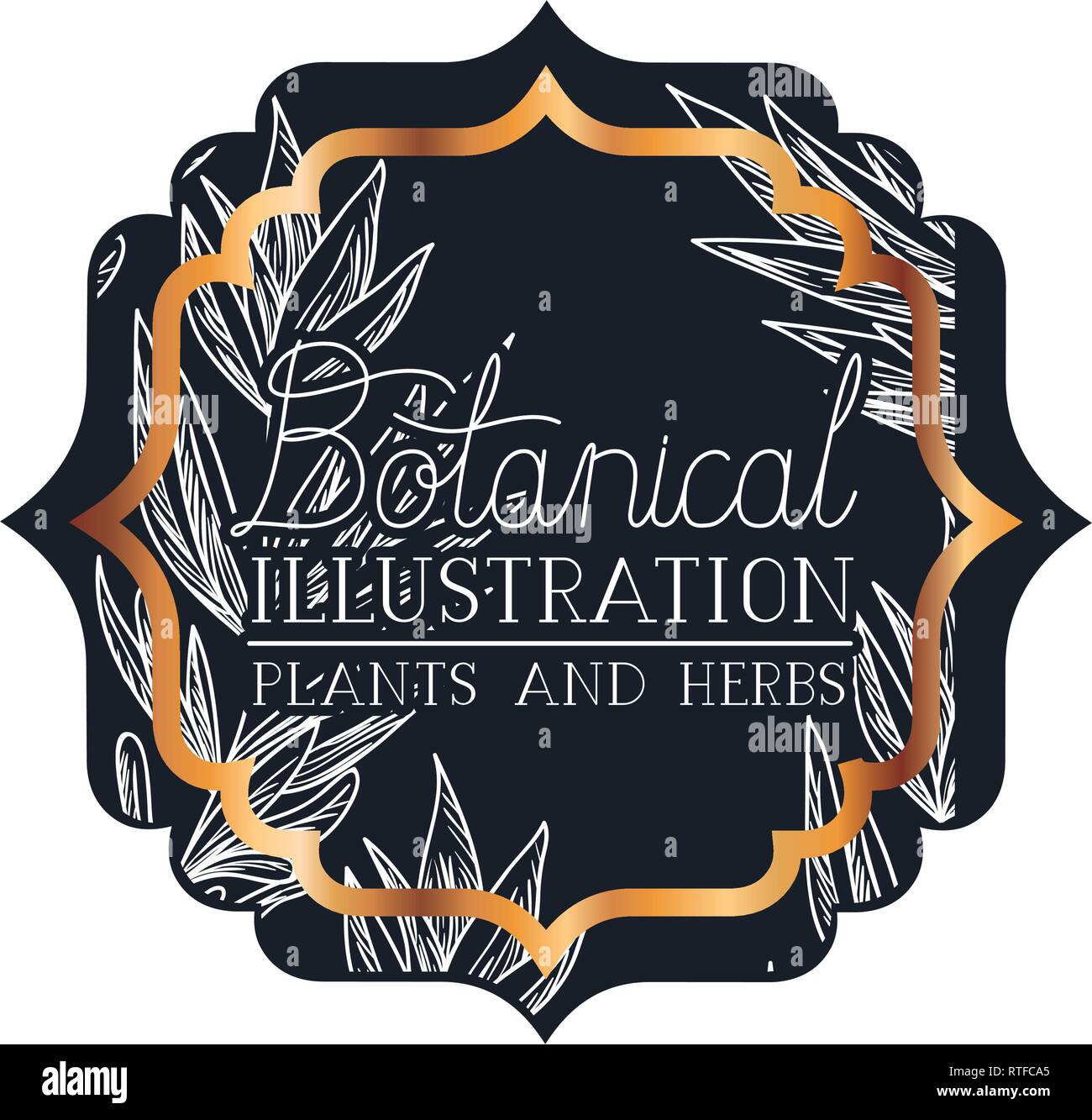 botanical illustration label with plants and herbs vector illustration ...