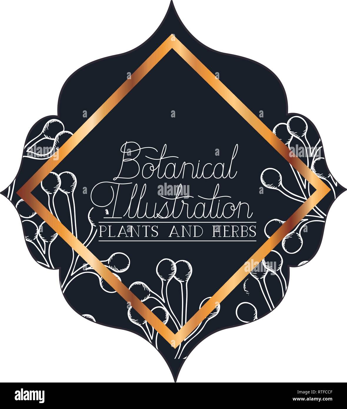 botanical illustration label with plants and herbs vector illustration ...