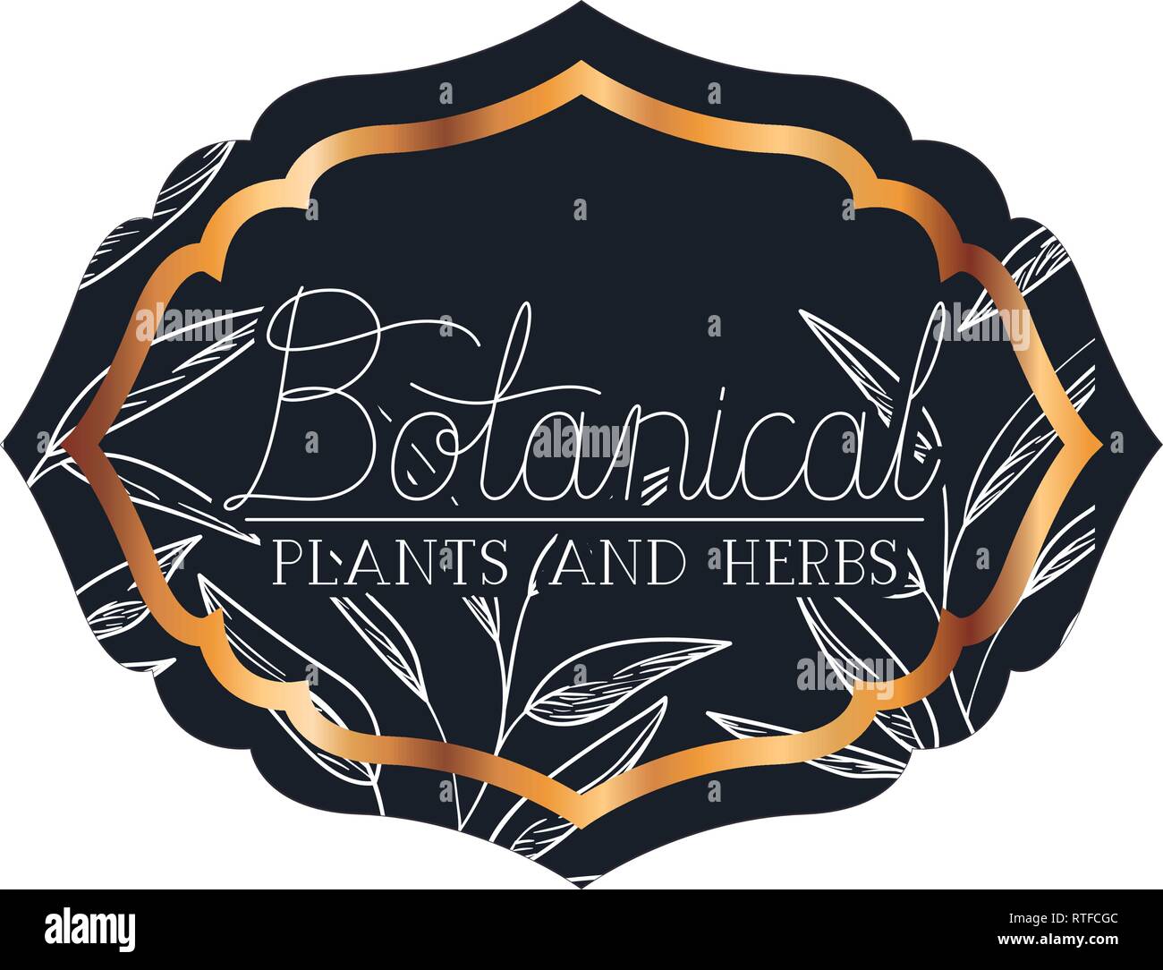botanical label with plants and herbs vector illustration desing Stock ...