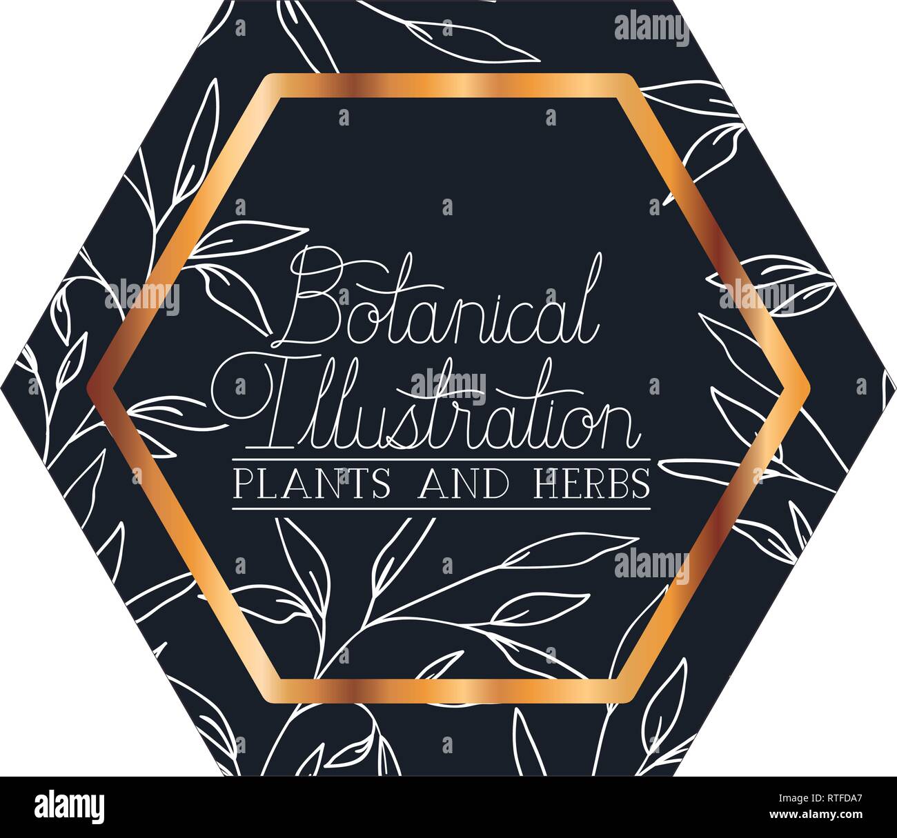 botanical illustration label with plants and herbs vector illustration ...