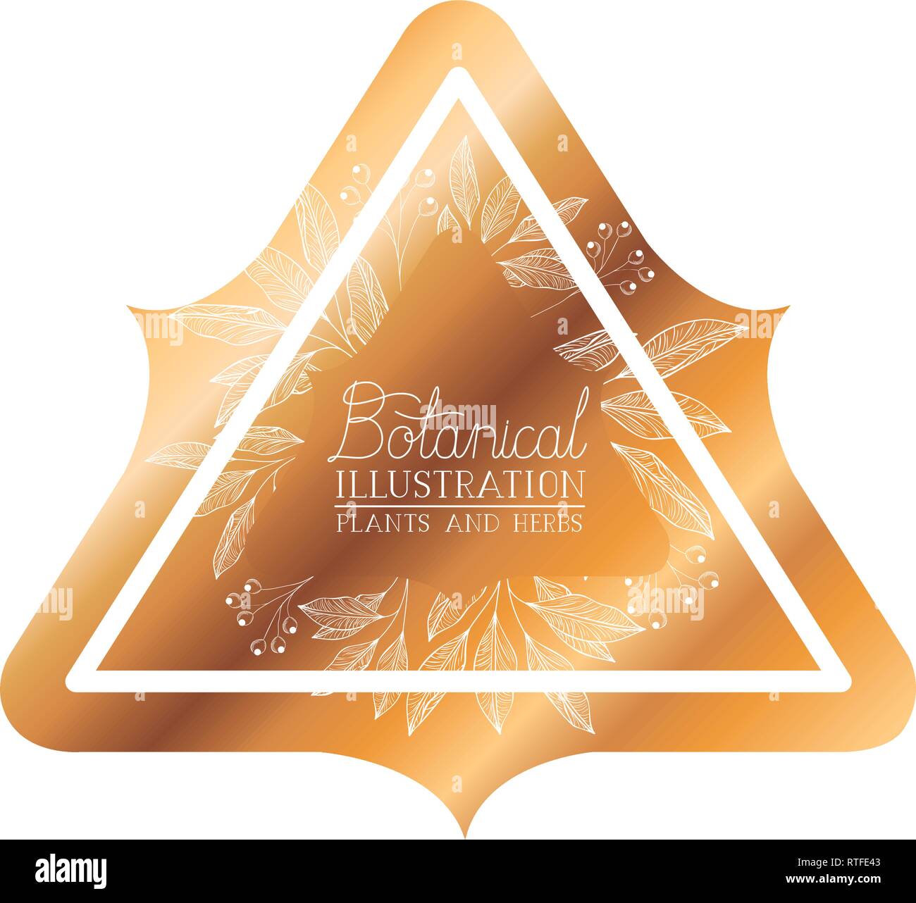 botanical illustration label with plants and herbs vector illustration ...