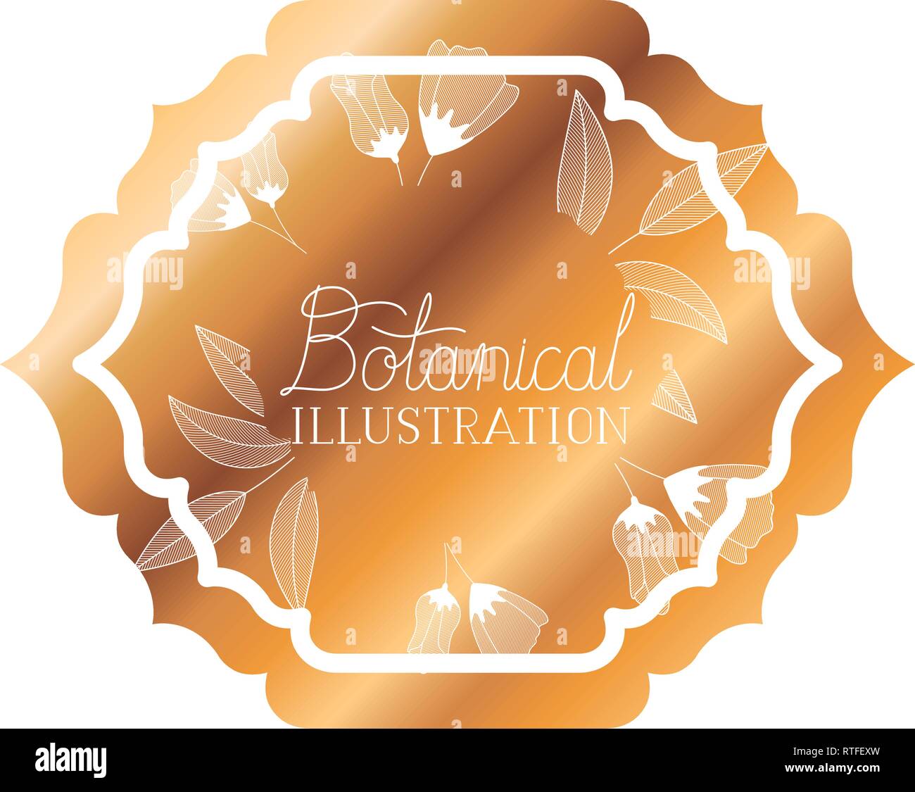 botanical illustration label with plants Stock Vector Image & Art - Alamy