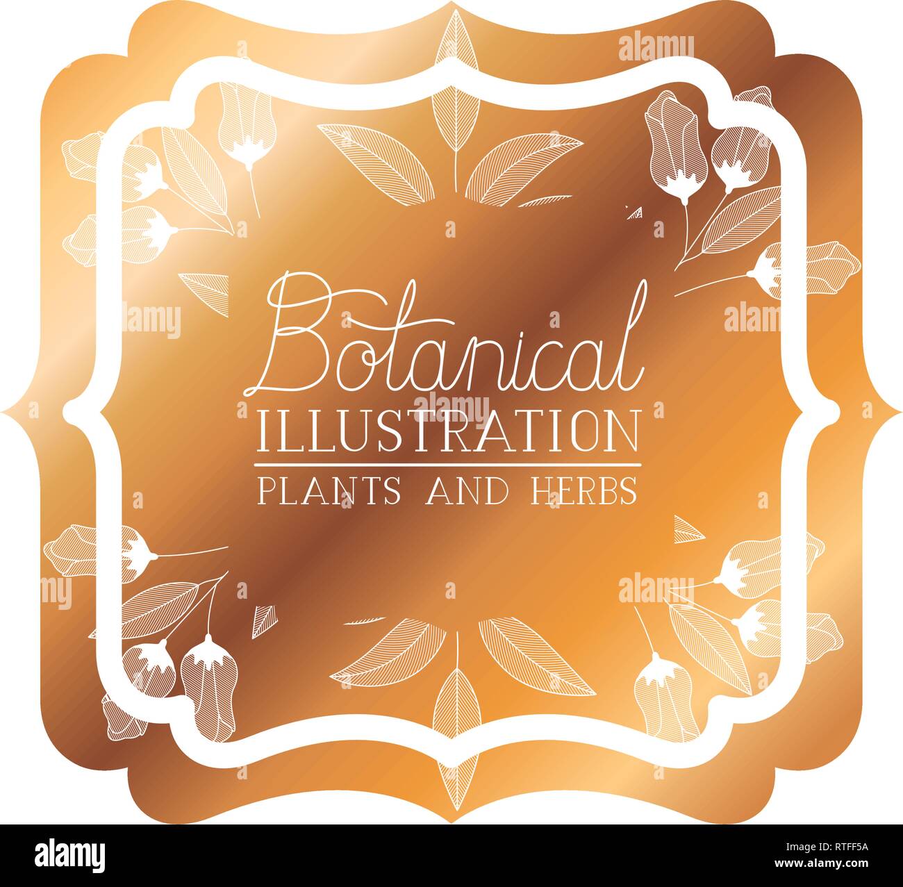 botanical illustration label with plants and herbs vector illustration ...