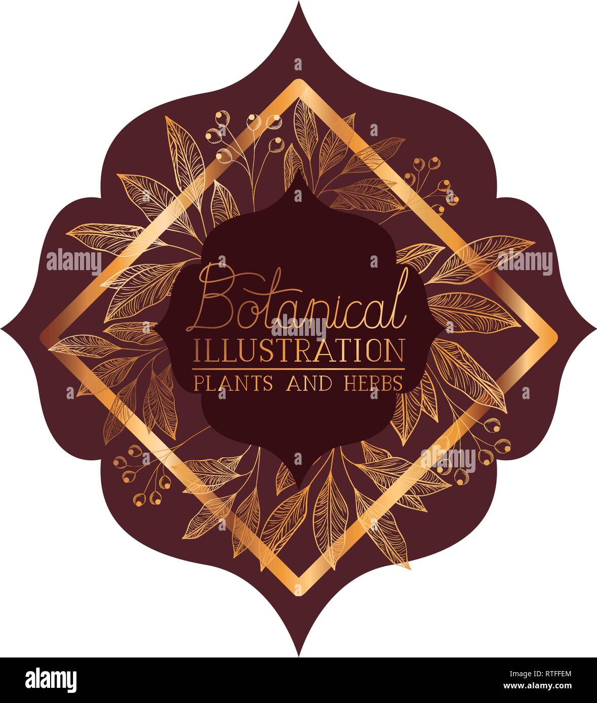 botanical illustration label with plants and herbs vector illustration ...