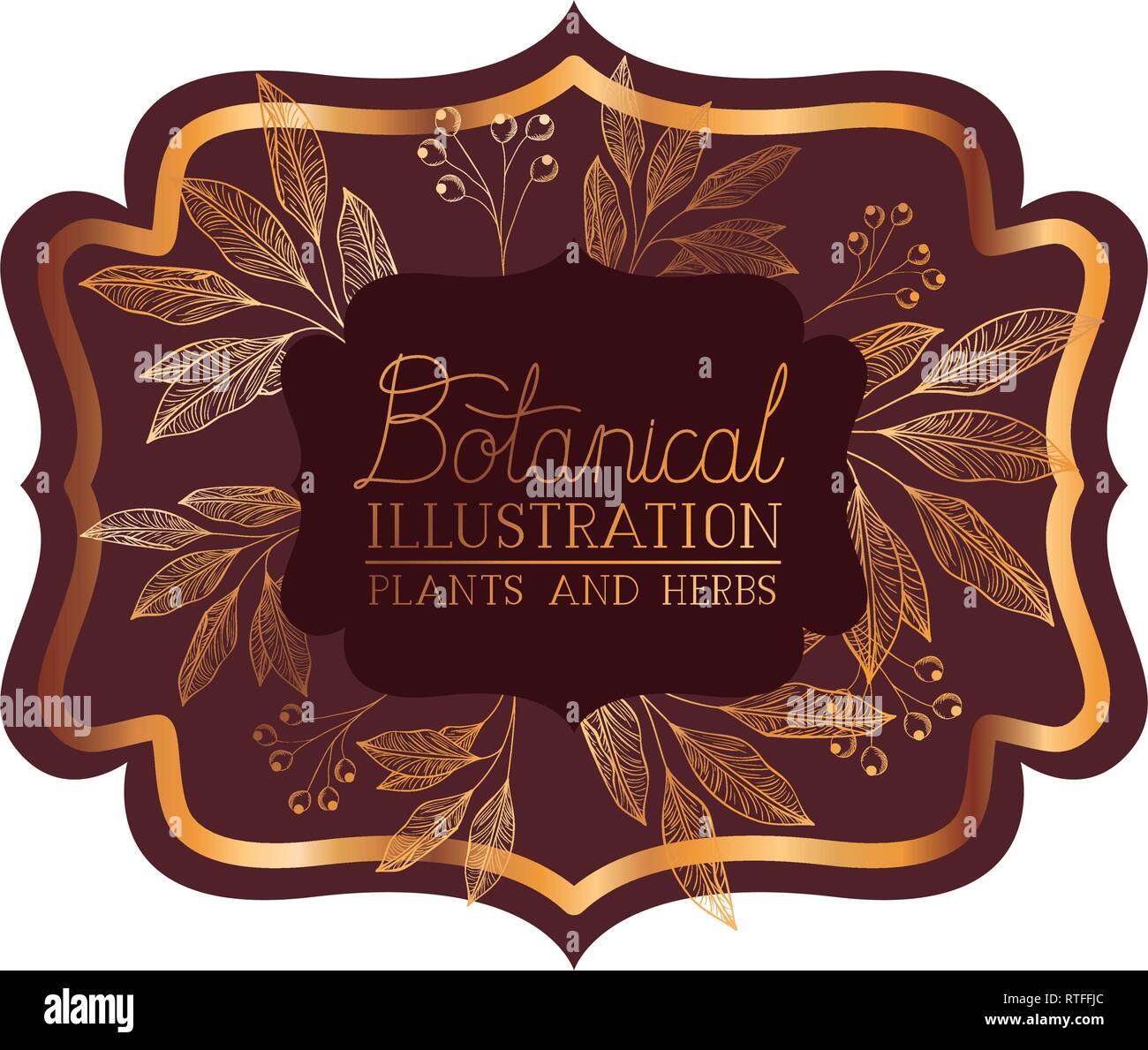 botanical illustration label with plants and herbs vector illustration ...