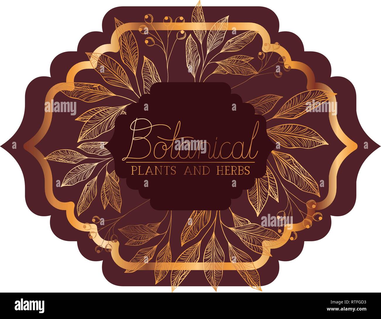 botanical label with plants and herbs vector illustration desing Stock ...