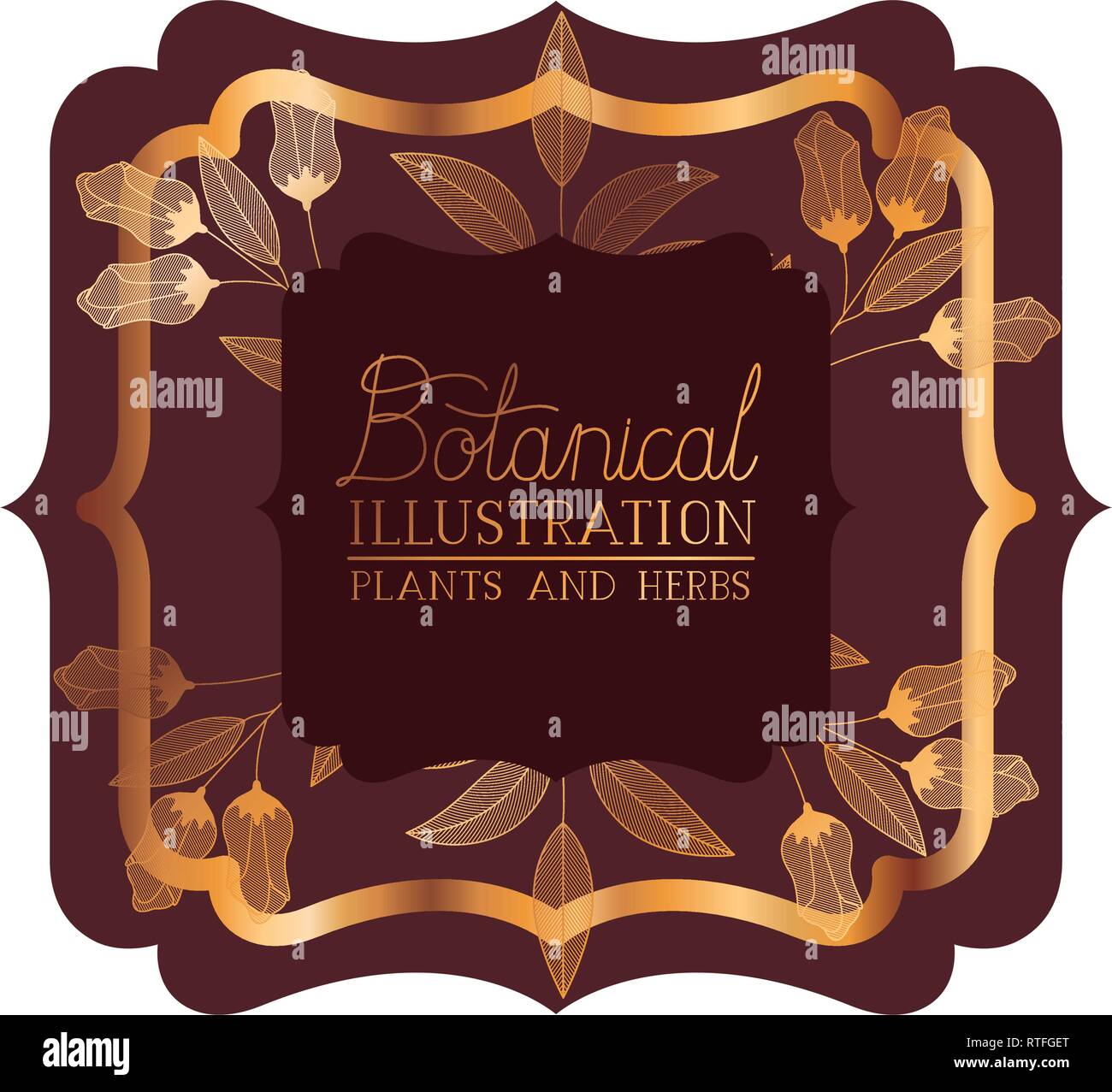 botanical illustration label with plants and herbs vector illustration ...