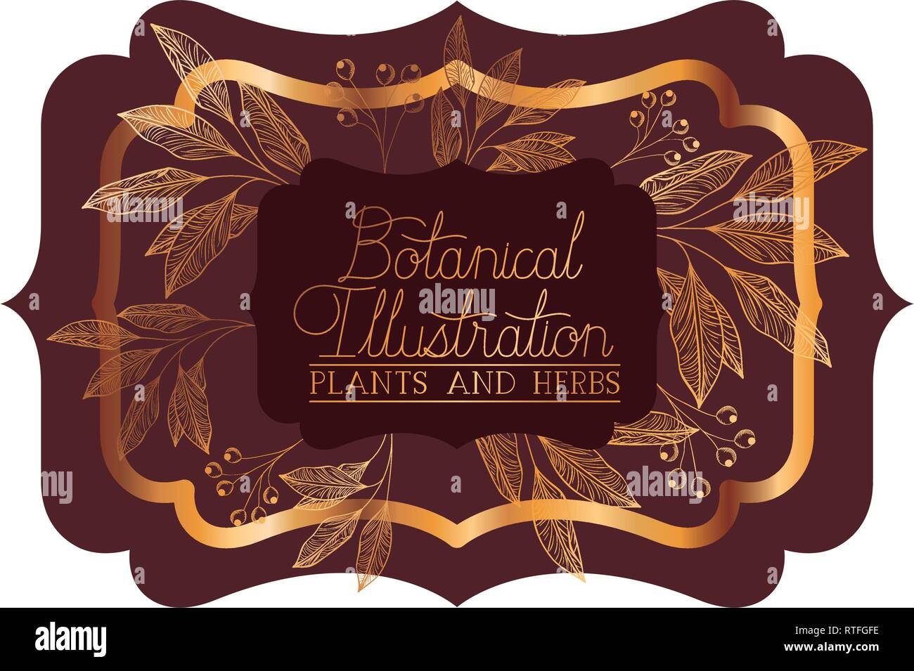 botanical illustration label with plants and herbs vector illustration ...