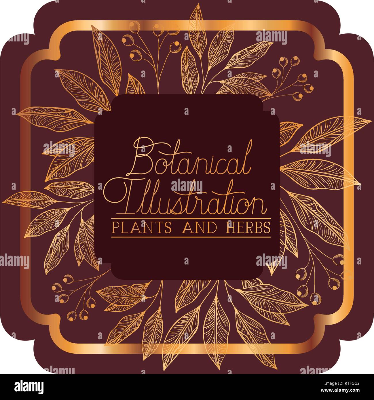 botanical illustration label with plants and herbs vector illustration ...