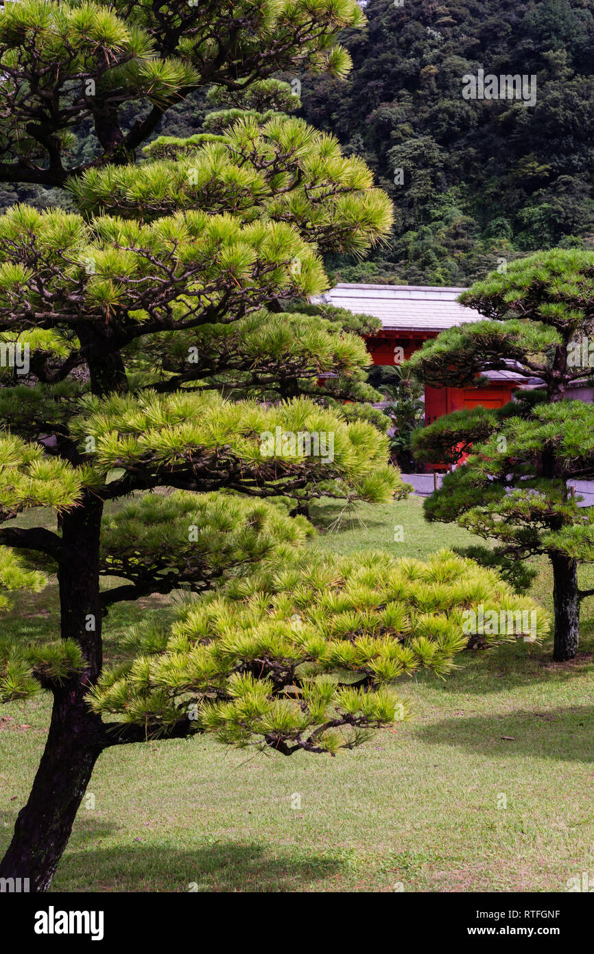 Japanese torii copyspace hi-res stock photography and images - Alamy